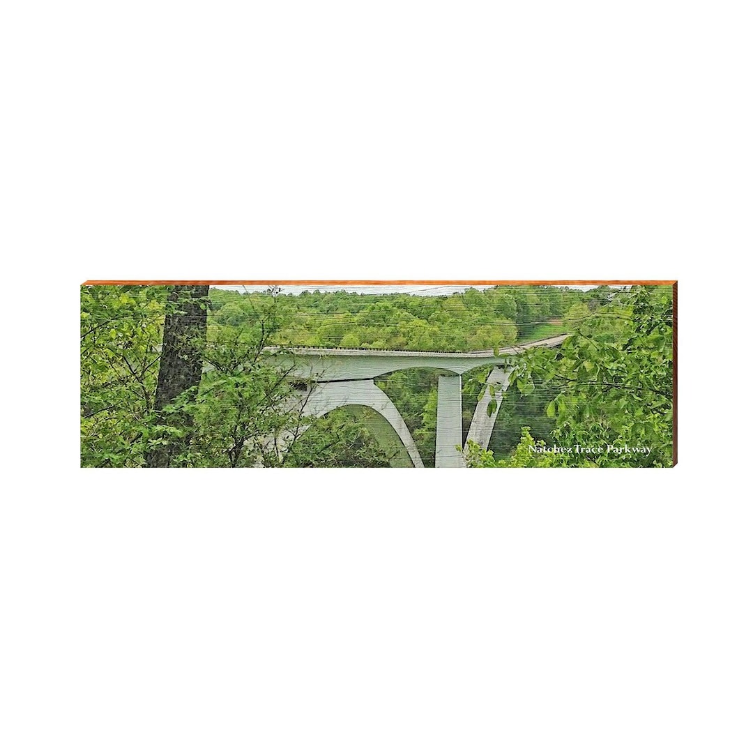 Natchez Trace Parkway Sign | Real Art Print on Wood - Etsy