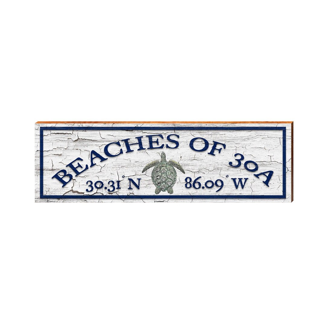 Beaches of 30A Sea Turtle White Latitude Longitude | Real Wood Wall Art ...