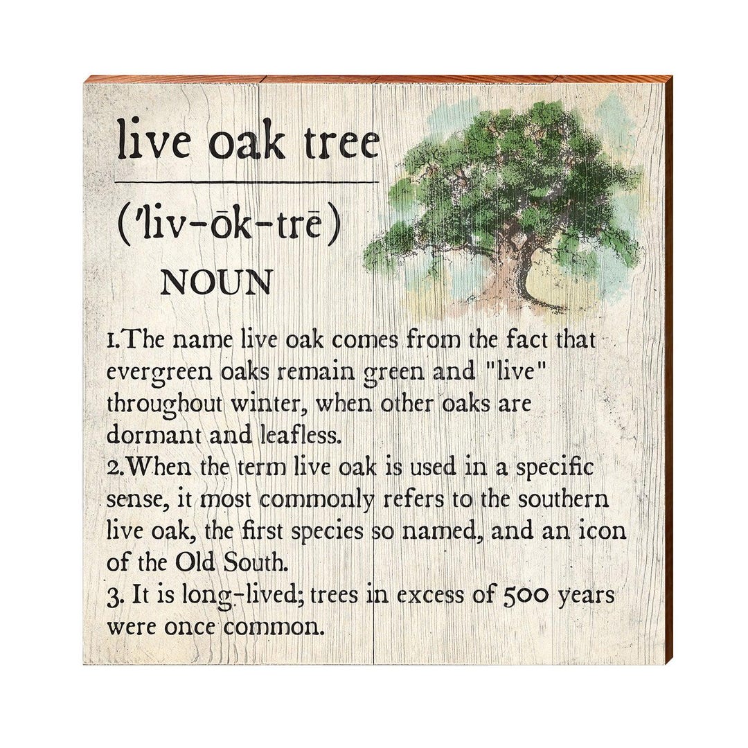Live Oak Tree Definition Wooden Sign Wall Art Print on Real Wood ...