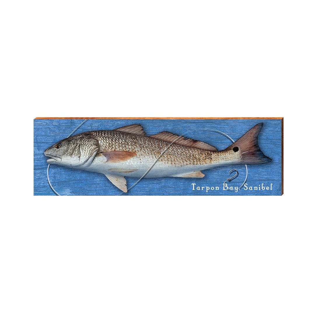 Tarpon Bay, Sanibel Fish Blue Board | Real Wood Art Print - Etsy
