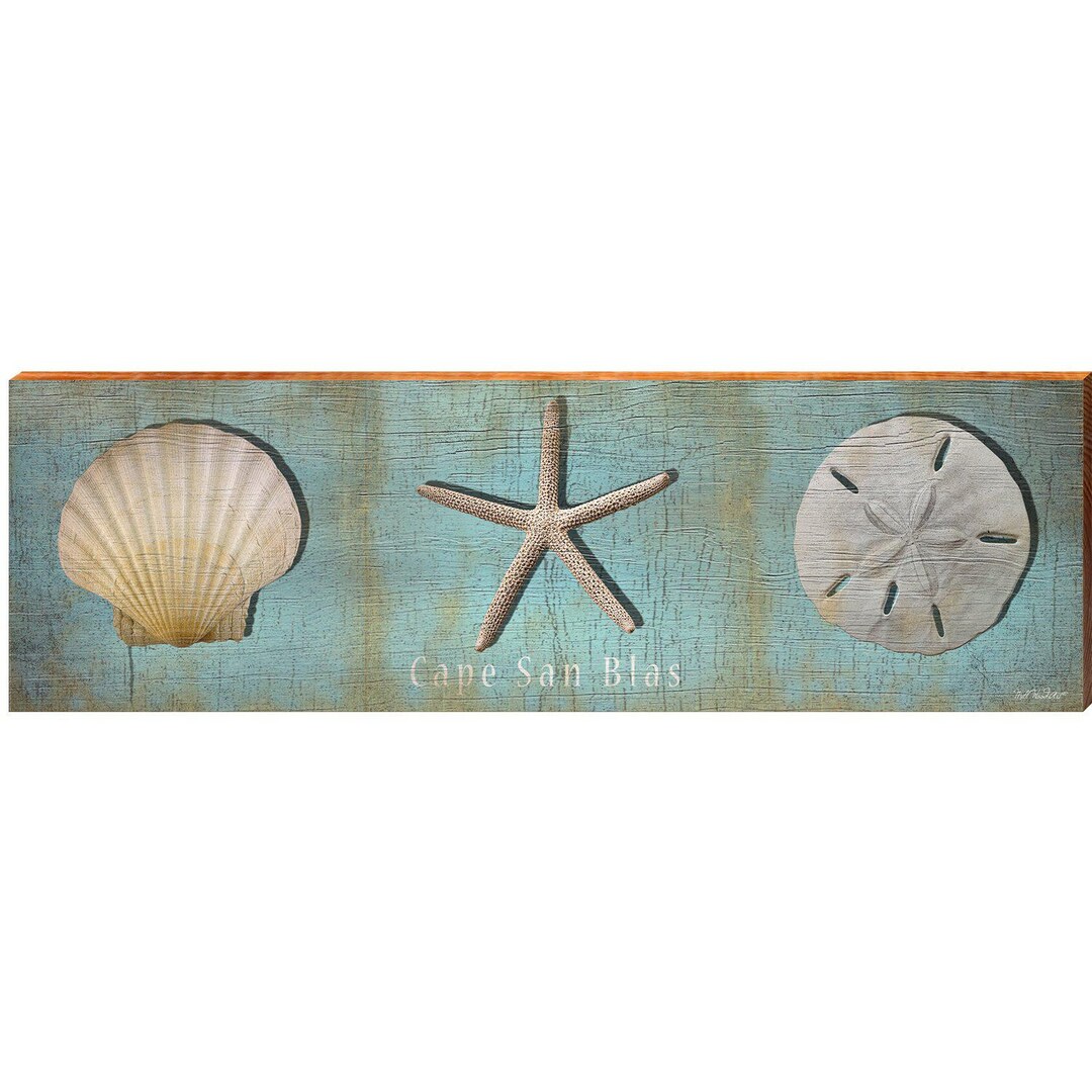Cape San Blas Triple Shells | Wall Art Print on Real Wood - Etsy