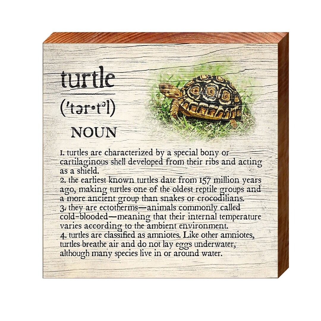 Turtle Definition Wooden Sign Wall Art Print on Real Wood - Etsy