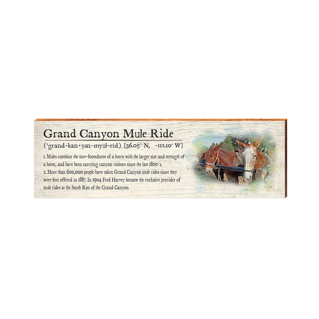 Grand Canyon Mule Ride Definition Wooden Sign Wall Art Print on Real ...