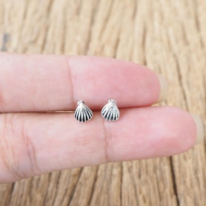 Small Shell Stud Earrings, Clam Shell Earrings, Beach Jewelry / BK203 ...
