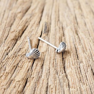 Small Shell Stud Earrings, Clam Shell Earrings, Beach Jewelry / BK203 ...