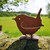 Rusty Metal Robin - Steel Robin Decoration - Rusty Bird - Wild Bird Art ...