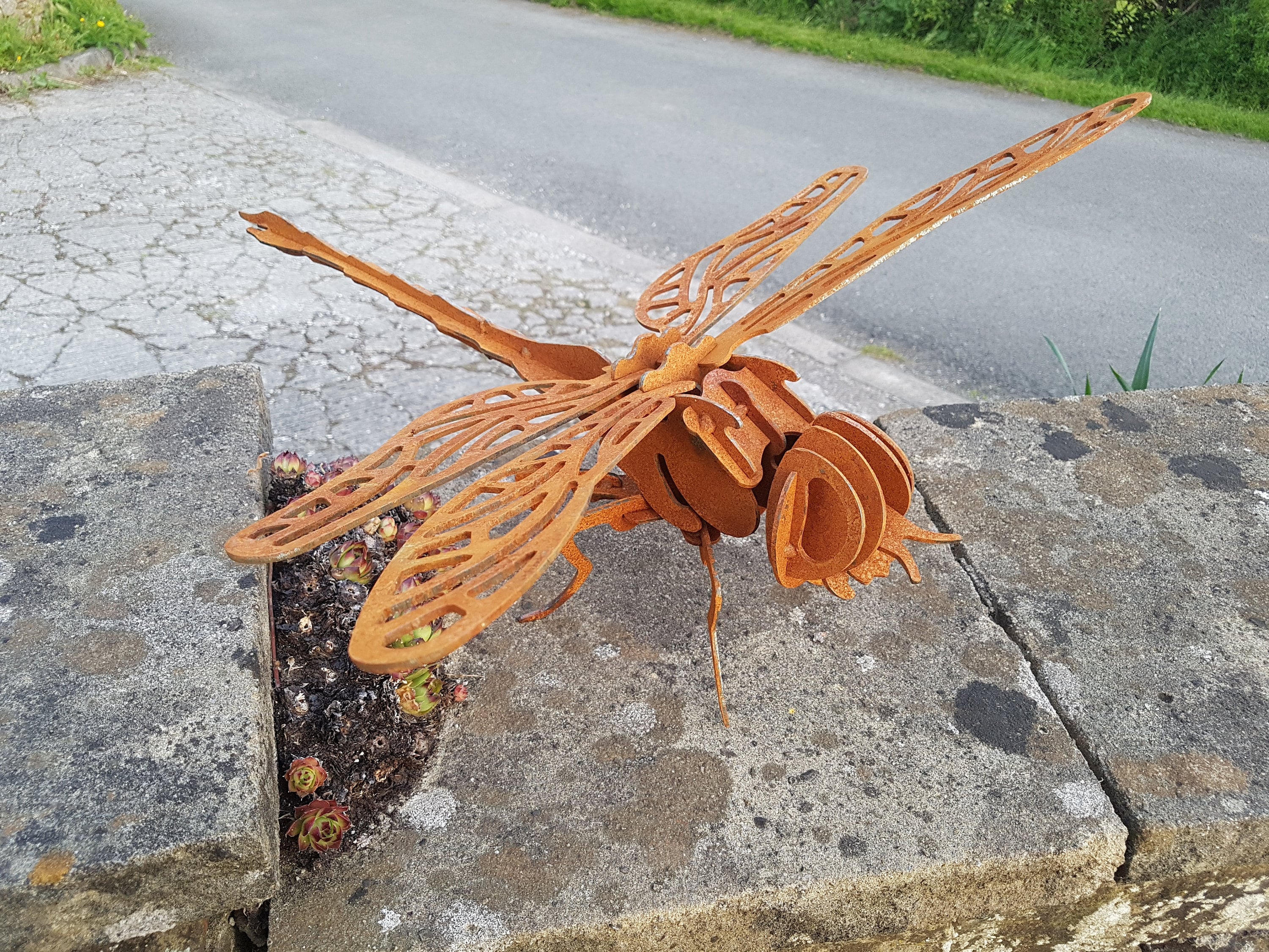 Rusty Metal Dragonfly - Garden Insect - Garden Ornaments - Art - 3D ...