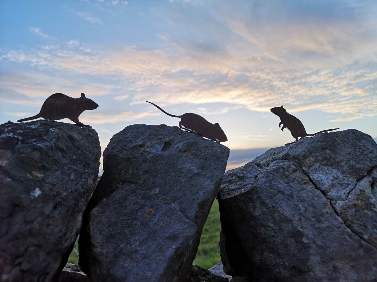 Set of 3 Rusty Metal Mice / Rusty Metal Mouse / Mouse Decor / - Etsy UK