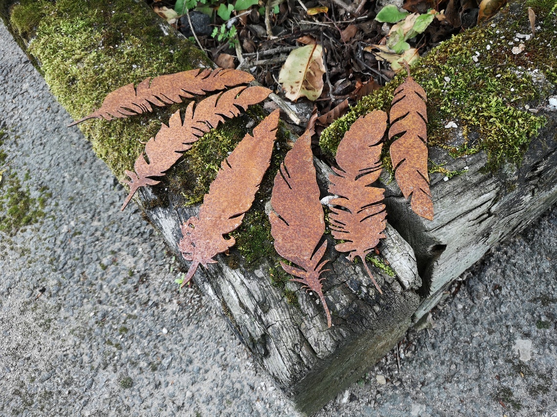Pack of 6 Rusty Metal Feathers / Rustic Decor / Feather Decor - Etsy