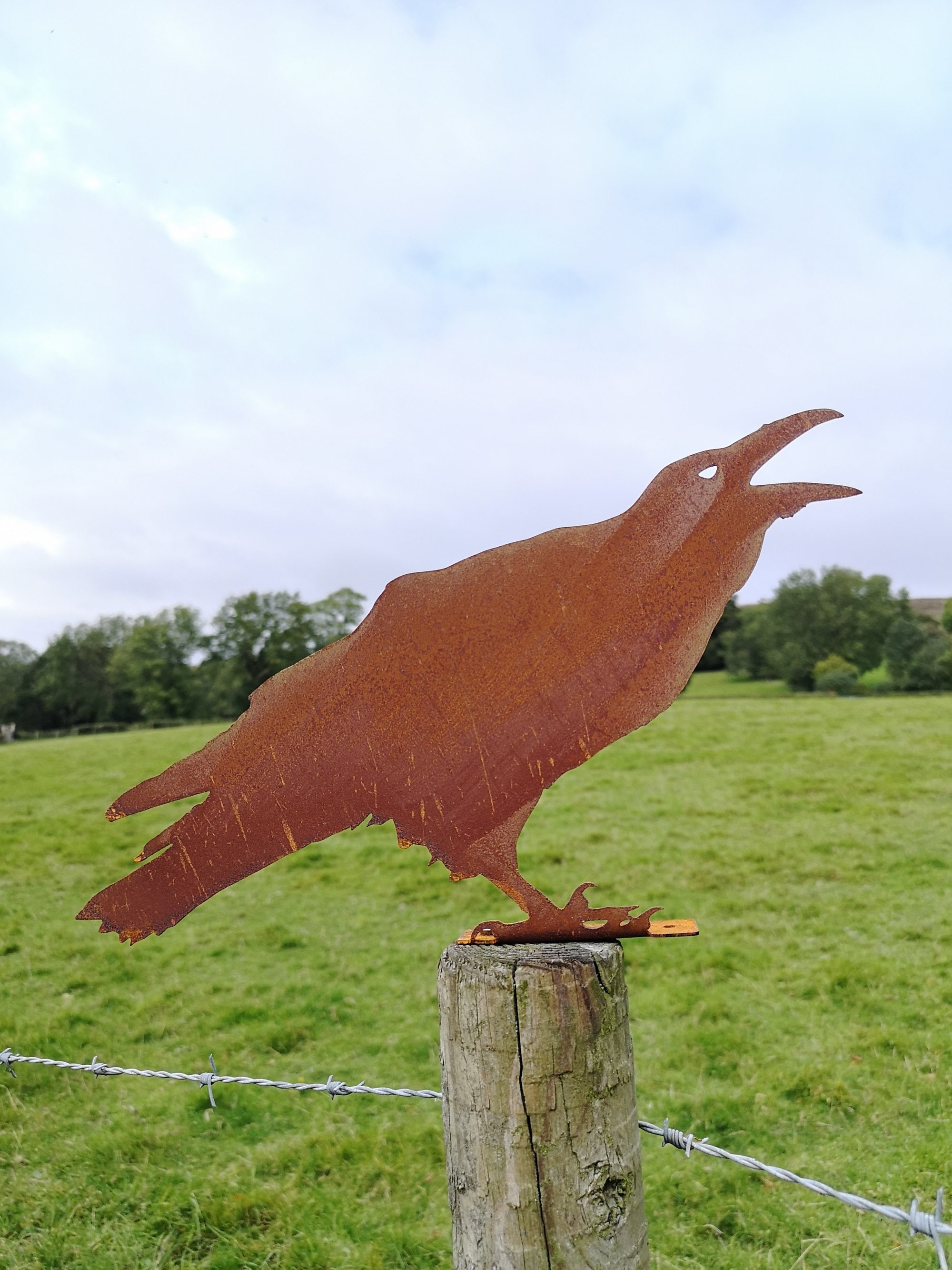 Rusty Metal Cawing Crow Fence Post Topper / Raven / Bird Art / | Etsy UK