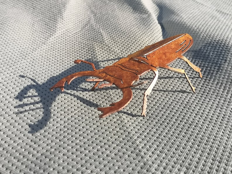 Rusty Metal Stag Beetle 3d Sculpture / Beetle Gift / Bug Gift - Etsy