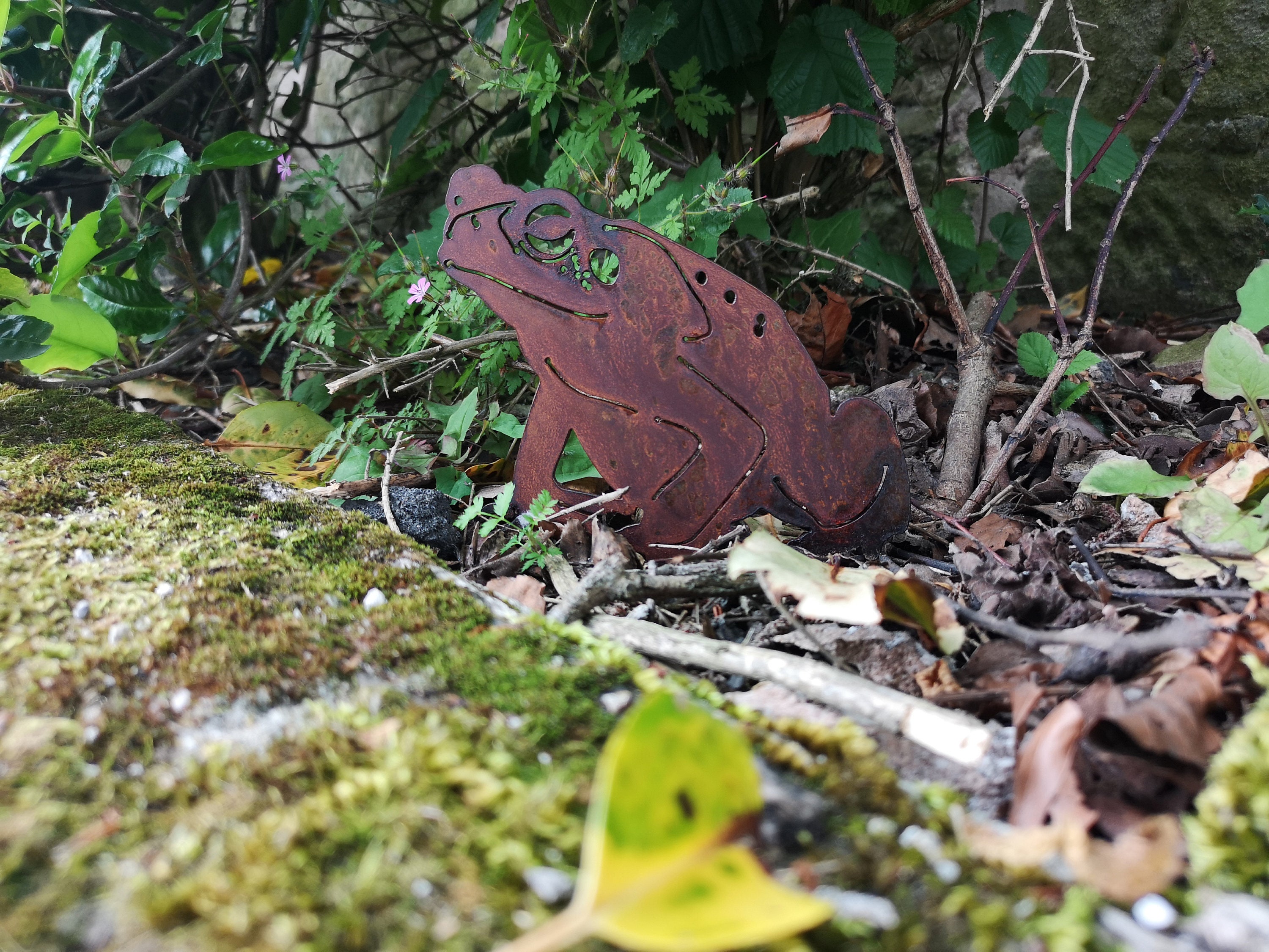 Rusty Metal Frog / Toad - Garden Ornaments - Art - Amphibian Gift ...