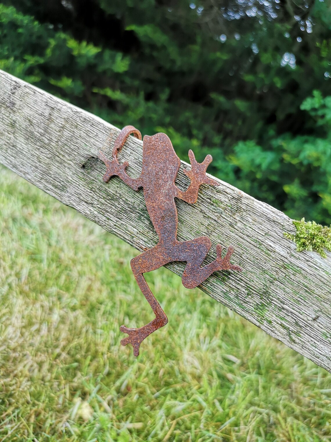 Rusty Metal Frog Steel Frog Decoration Tree Frog | Etsy