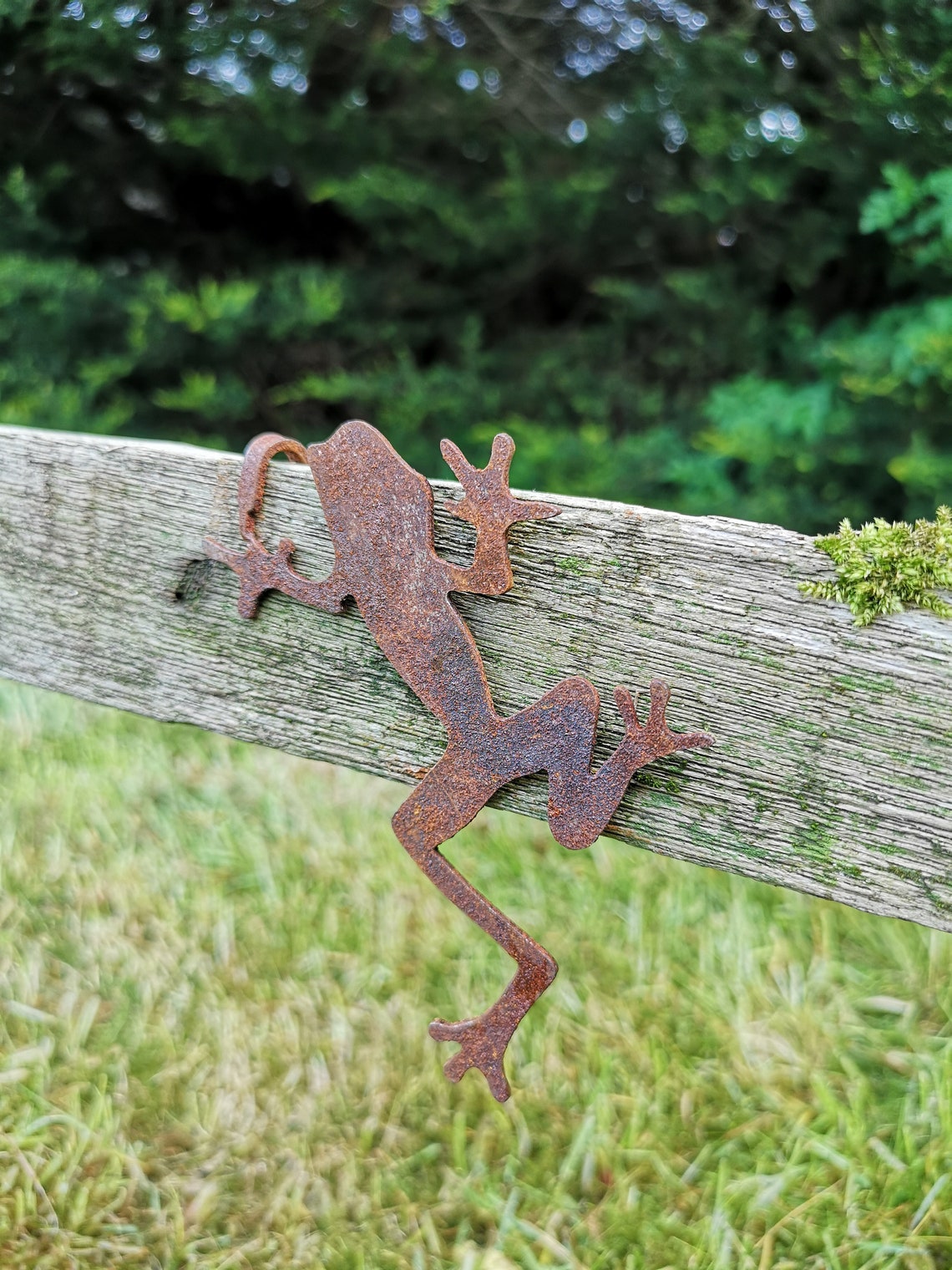 Rusty Metal Frog Steel Frog Decoration Tree Frog | Etsy