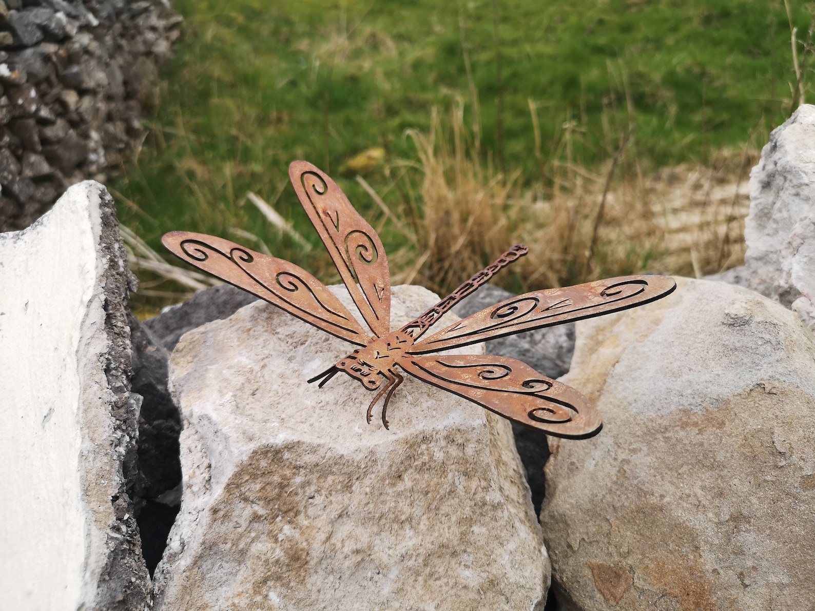 Rusty Metal 3d Dragonfly / Dragonfly Gift / Garden Insect / - Etsy