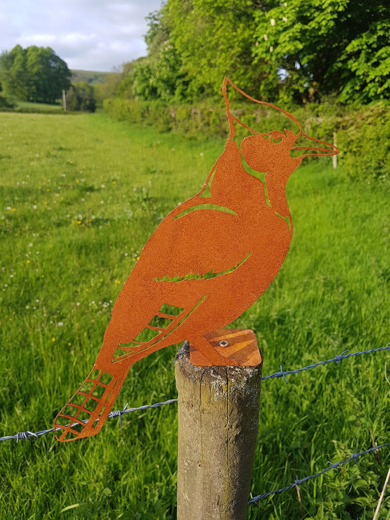 Rusty Metal Jay Bird Fence Post Topper - Garden Ornaments - Art - Blue ...