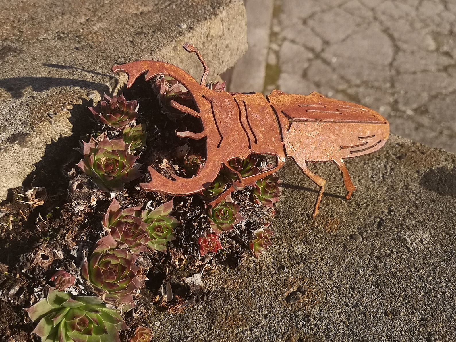Rusty Metal Stag Beetle 3d Sculpture / Beetle Gift / Bug Gift | Etsy