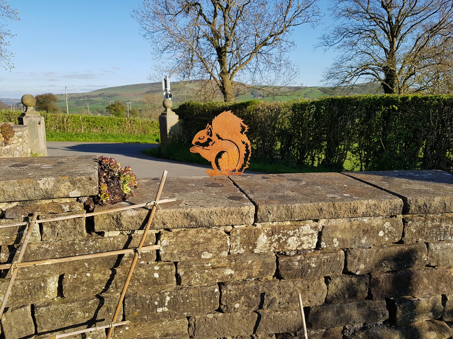 Rusty Metal Sitting Squirrel - Garden Ornaments - Art - Squirrel Gift ...