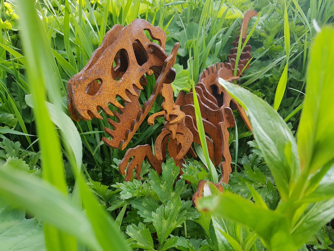 Rusty Metal Dinosaur Raptor - Velociraptor - Garden Ornaments - Art ...