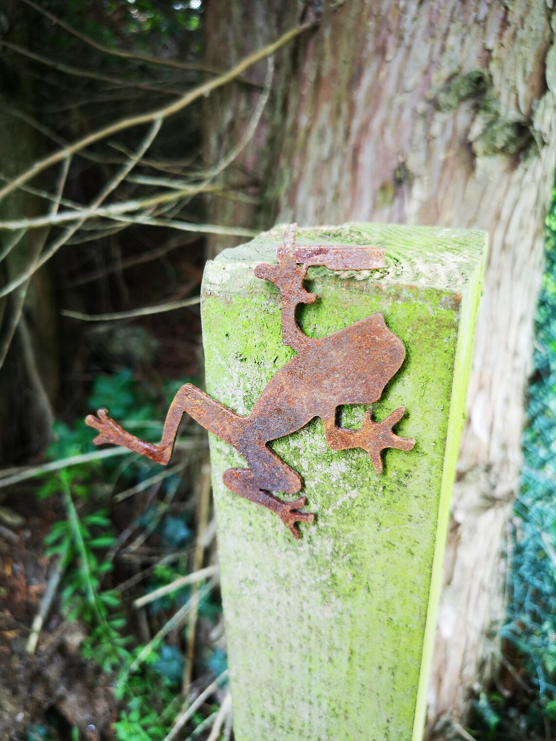 Rusty Metal Frog Steel Frog Decoration Tree Frog | Etsy