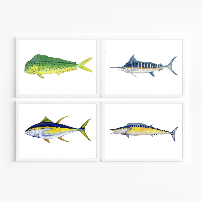 Saltwater Fish Art - Etsy
