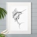Sailfish Print, Printable, Printable Coastal Wall Art, Saltwater Fish ...