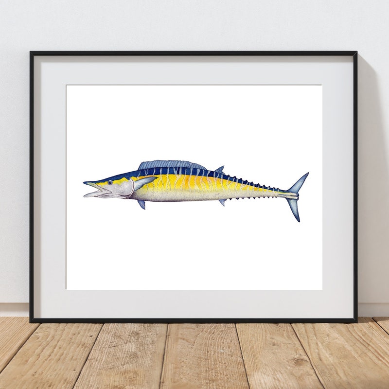 Wahoo Fish - Etsy