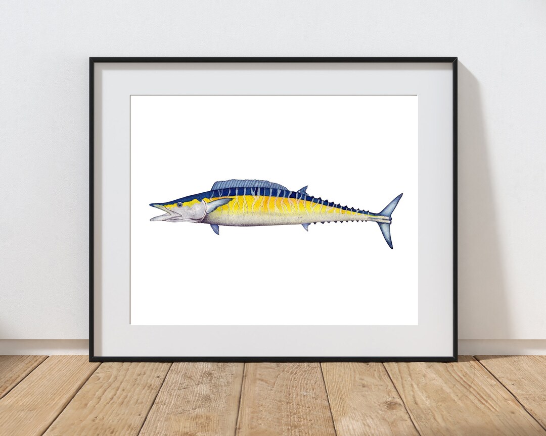 Wahoo Print, Wahoo Watercolor, Printable Coastal Wall Art, Saltwater ...