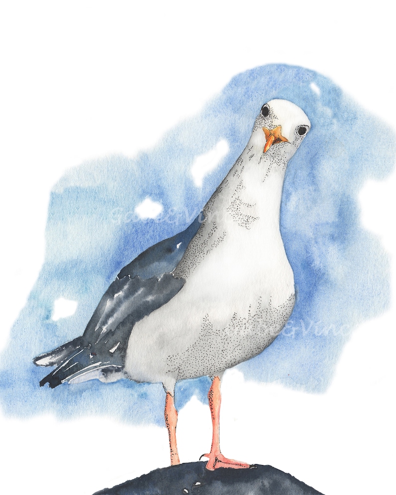 Seagull Printable Seagull Watercolor Print Coastal Wall Art - Etsy