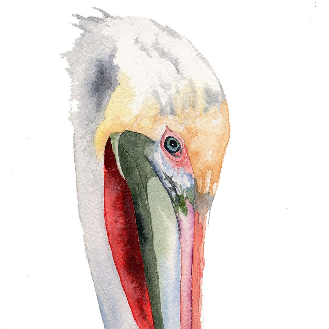 Brown Pelican Watercolor Print, Coastal Wall Art, Beach House Wall Art ...