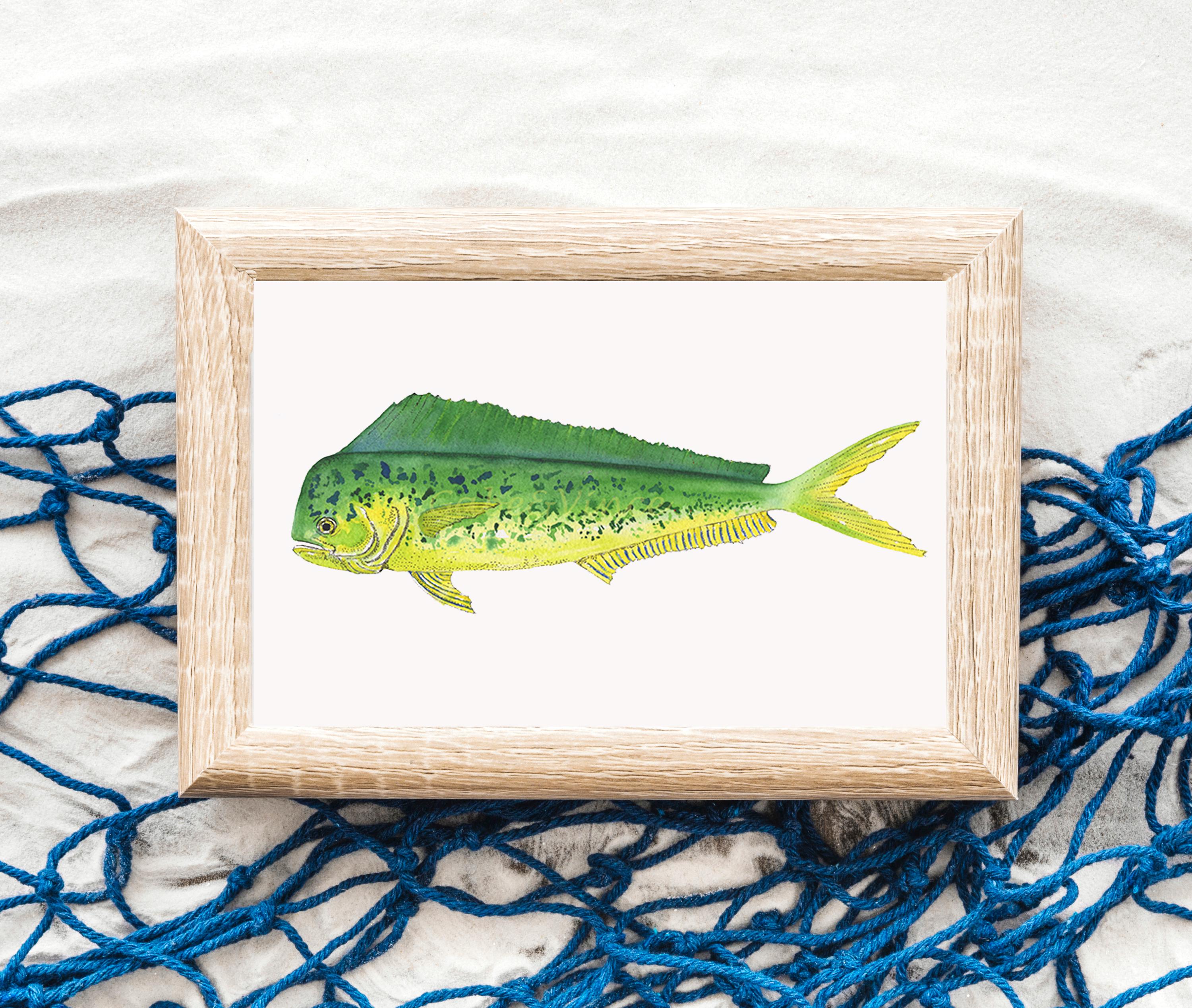 Mahi Mahi Watercolor Print: Coastal Beach House Art (digital Download ...