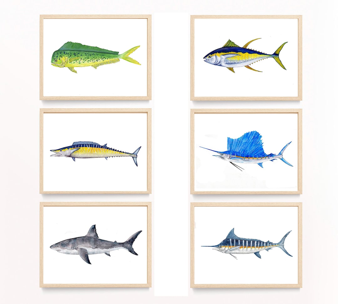 Saltwater Fish Wall Art Set of 6 | Watercolor Prints of Mahi Mahi ...