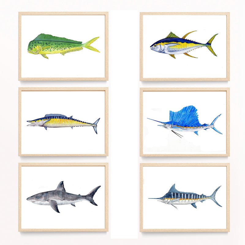 Saltwater Fish Prints Art - Etsy