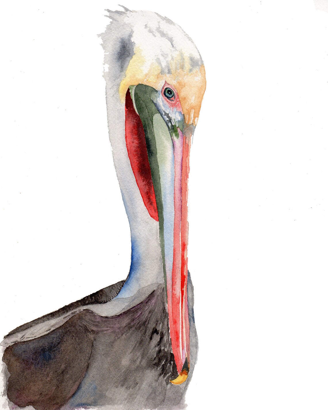 Brown Pelican Watercolor Print, Coastal Wall Art, Beach House Wall Art ...