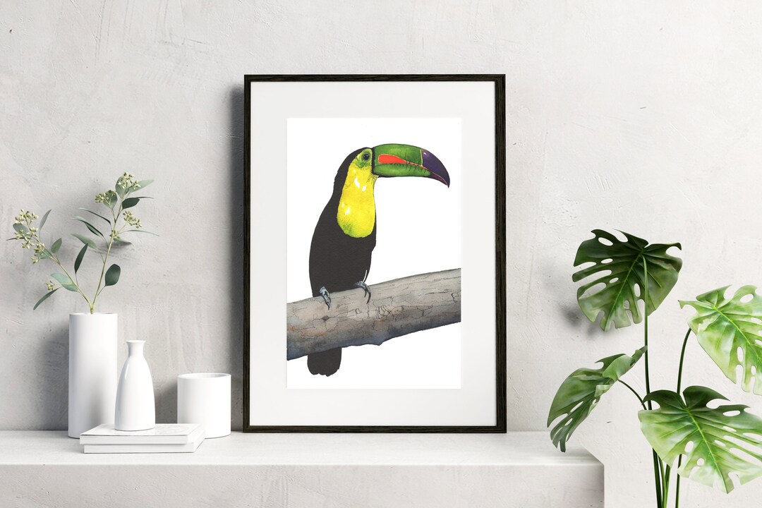 Tukan Vogel Aquarell Druck, Tukan Vogel Druck, Küsten tropische ...