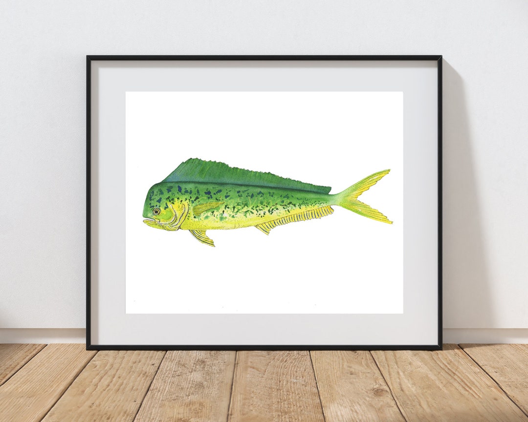 Mahi Mahi Watercolor Print, Fish Art, Mahi Mahi Art Print, Coastal Wall ...
