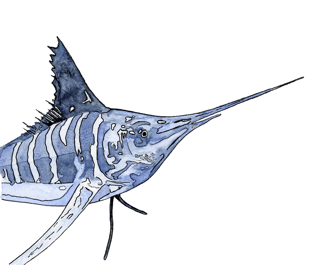 Striped Marlin Print Printable Printable Coastal Wall Art | Etsy