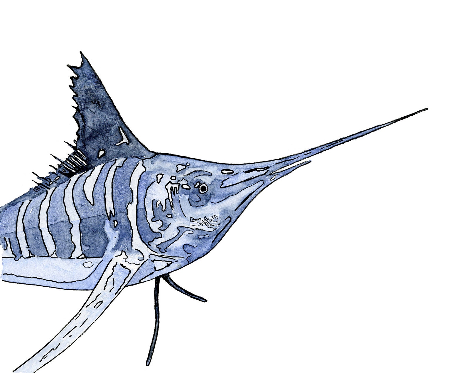 Striped Marlin Print Printable Printable Coastal Wall Art | Etsy