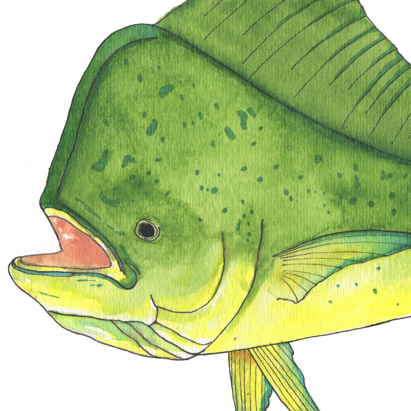 Mahi Mahi Watercolor Print Coastal Wall Art Beach House Wall - Etsy