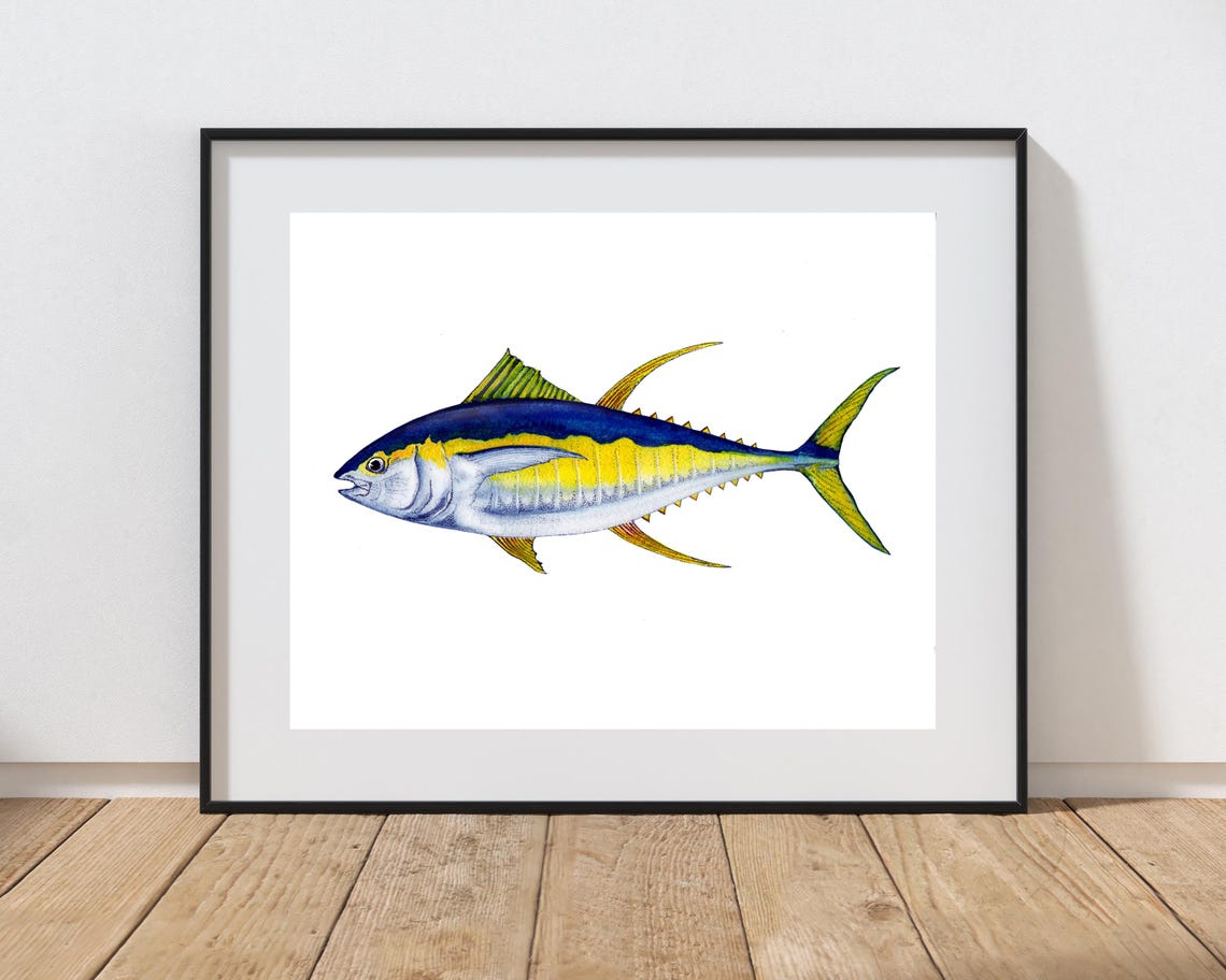 Saltwater Fish Wall Art Set of 6 | Mahi Mahi, Tuna, Marlin, Sailfish ...