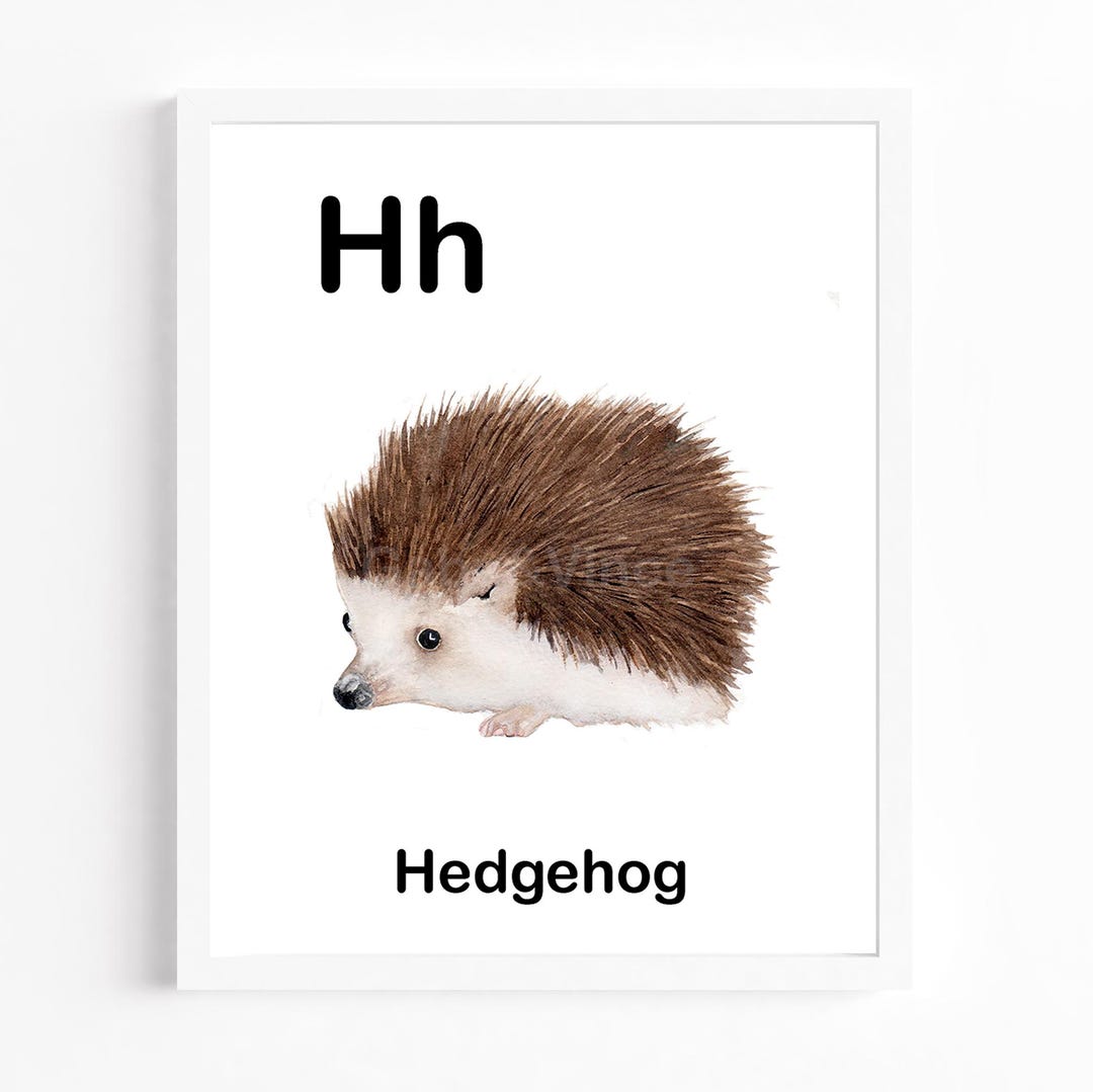 Printable Alphabet Nursery Wall Art, Alphabet, Letter H is for Hedgehog ...