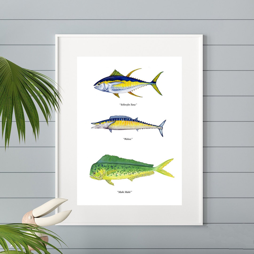 Yellowfin Tuna, Wahoo, and Mahi Mahi Watercolor Print: Coastal Wall Art ...