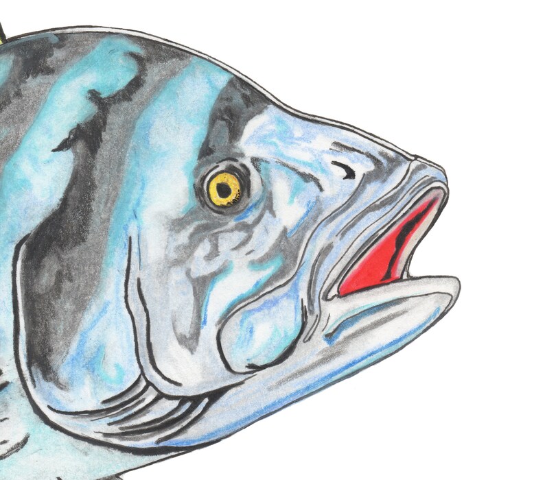 Rooster Fish Print Printable Printable Coastal Wall Art | Etsy