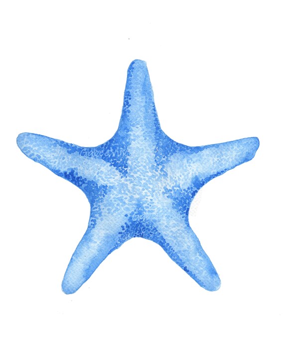 Blue Starfish Art Starfish Blue And Turquoise On White Photograph By
