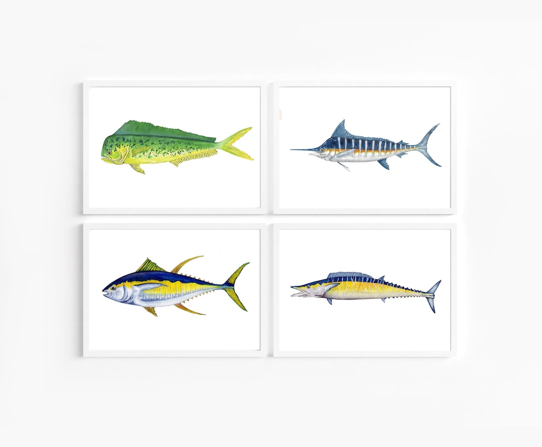 Saltwater Fish Art Prints, Set of 4 | Mahi Mahi, Tuna, Marlin & Wahoo ...
