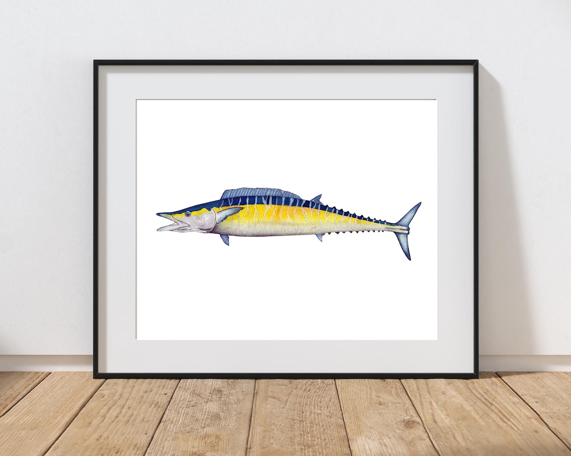 Saltwater Fish Wall Art Set of 6 | Mahi Mahi, Tuna, Marlin, Sailfish ...