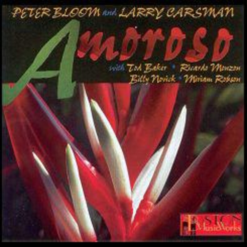 Peter Bloom & Larry Carsman / Amoroso: the Heartbeat of Brazil (audio ...