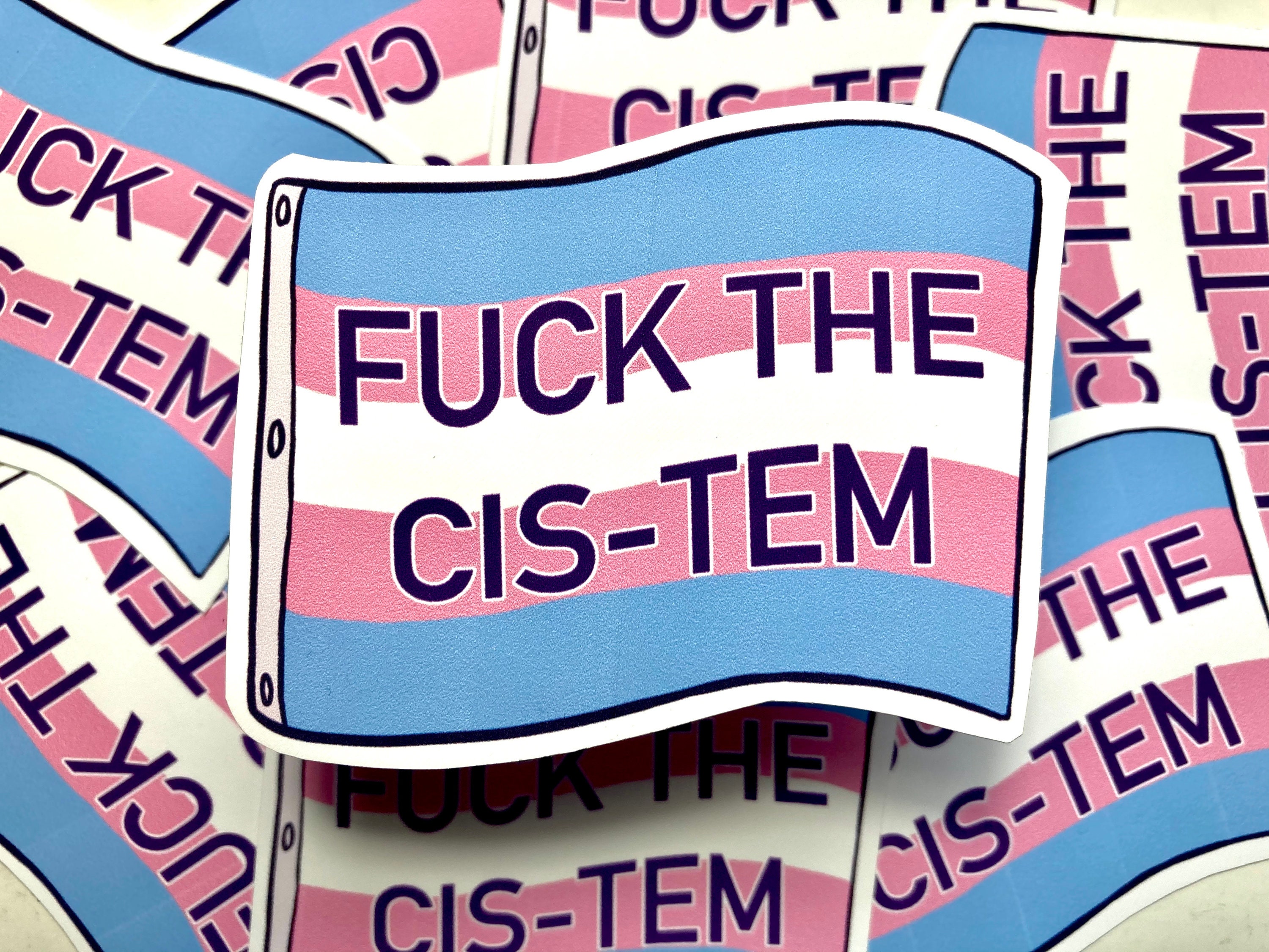F*ck the Cis-tem Sticker | Punk | Rebel | LGBT | Leftist | Transgender ...