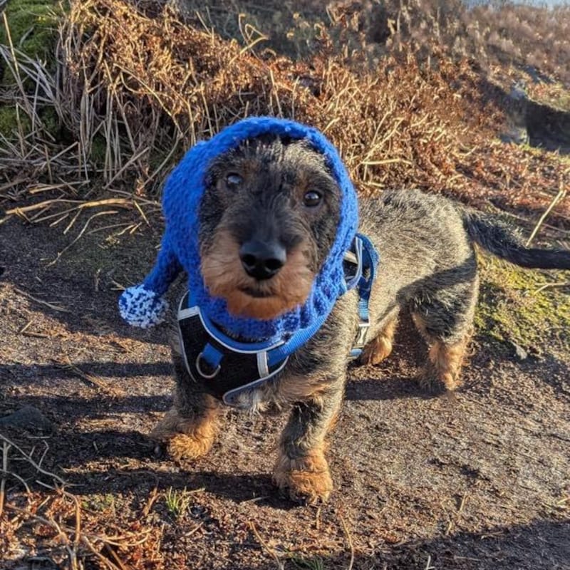 Custom Made Bobble Hats - Etsy UK