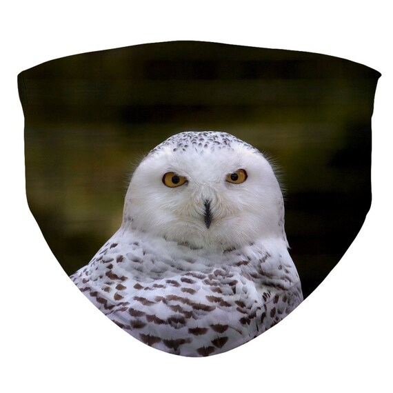 Owl Washable mask with activated carbon filter face mask | Etsy